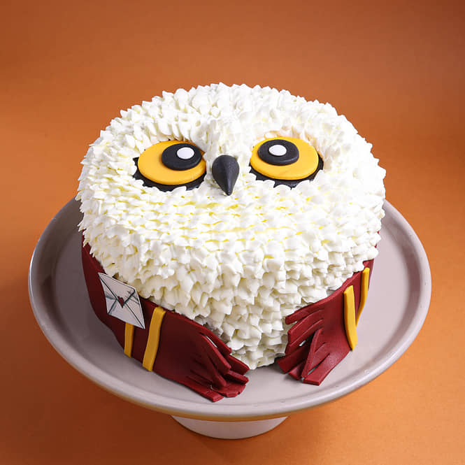 Buy Hedwig Harry Potter Theme Cake Online - Order Now