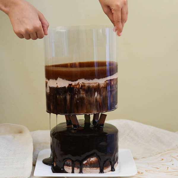 Pull Me Up Cakes at Best Price | Order From Top Bakery Near You